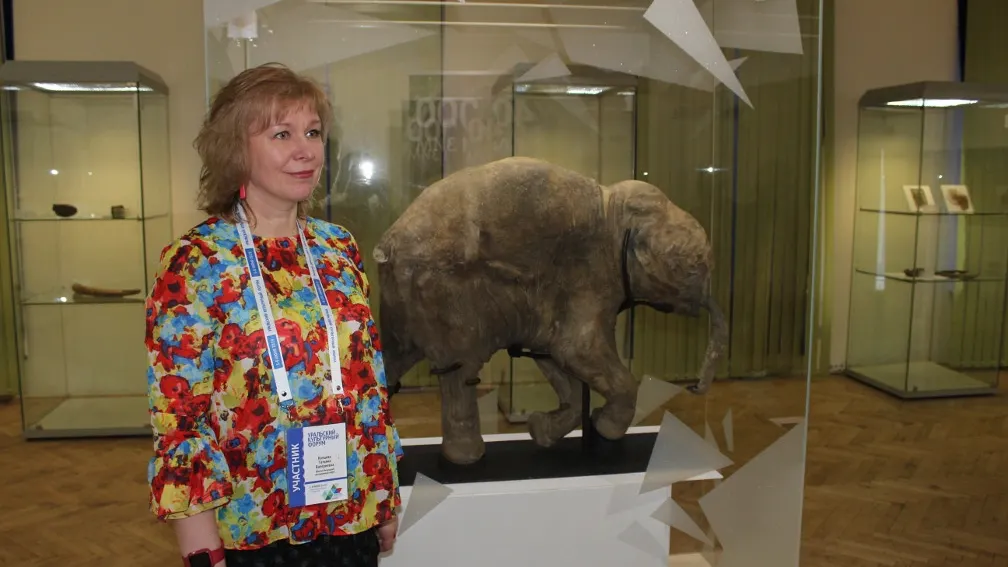 In one style. The baby mammoth Lyuba is not alone being demonstrated in ...