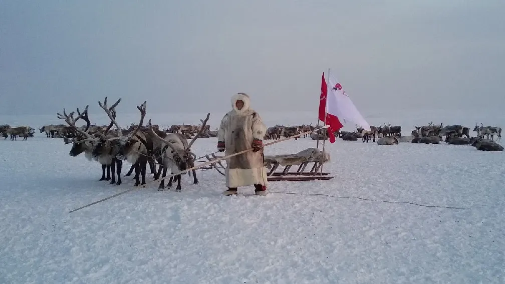The Northern Cavalry. The exhibition in the Museum of the Great ...